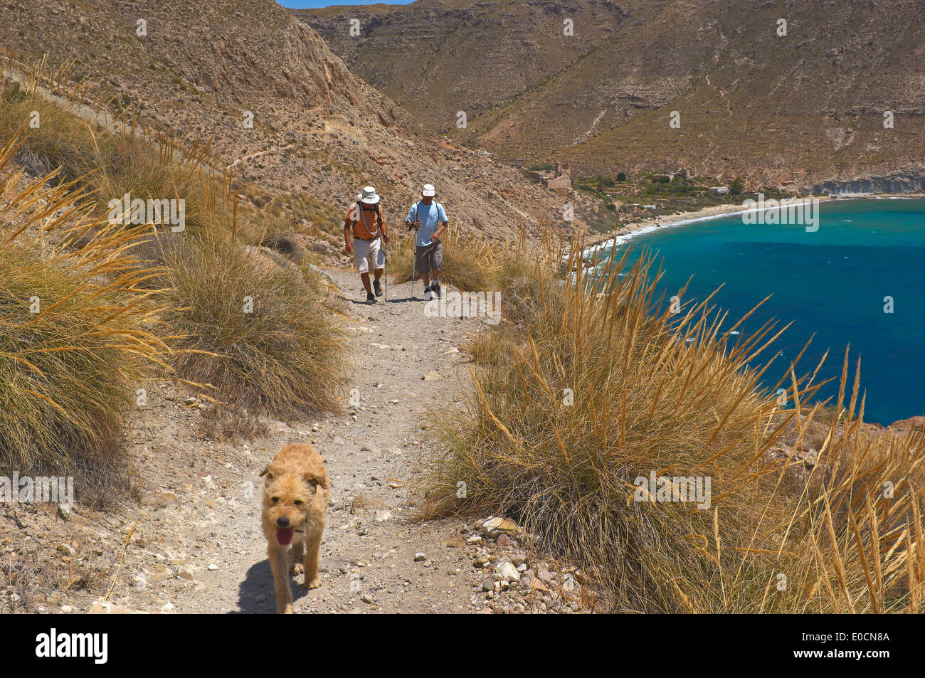 Cabo de Gata, Trekking, Cala San Pedro, Beach, Biosphere Reserve, Cabo ...