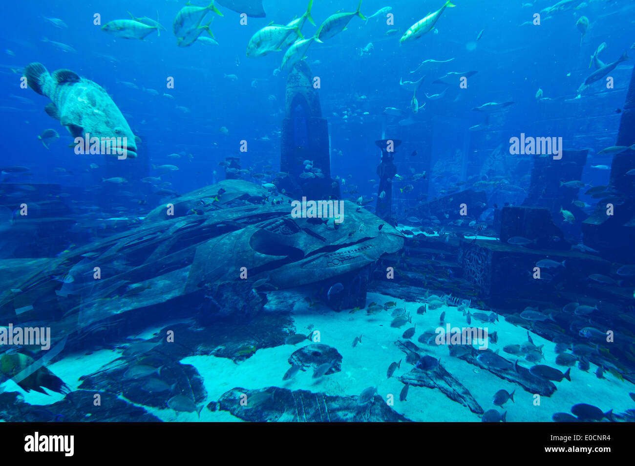Atlantis The Palm Aquarium High Resolution Stock Photography and Images ...