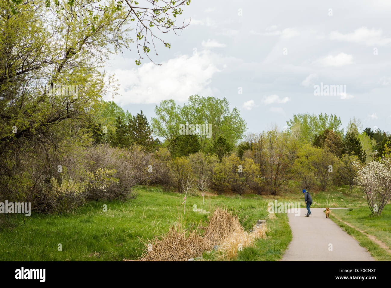 Typical bike trail with paved path in suburbia Stock Photo - Alamy