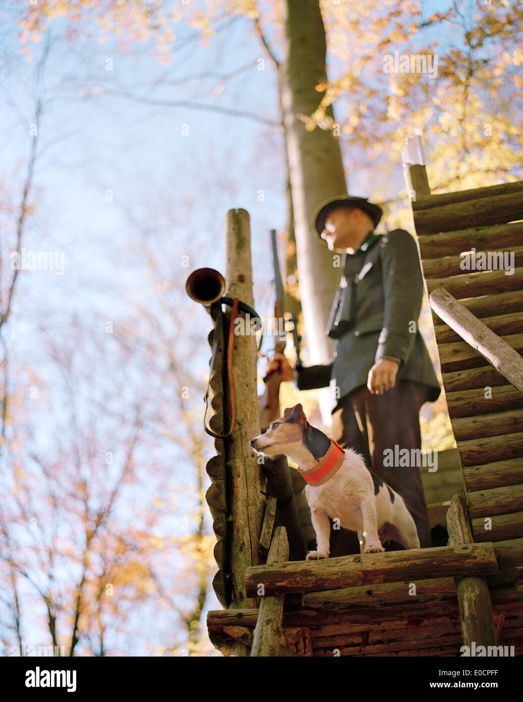 Hunter dog germany hi-res stock photography and images - Alamy