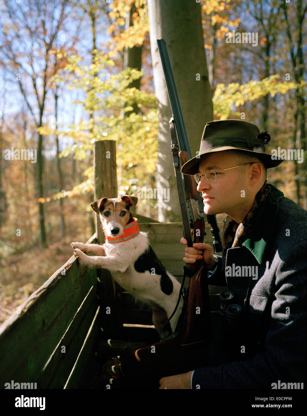 Hunter dog germany hi-res stock photography and images - Alamy