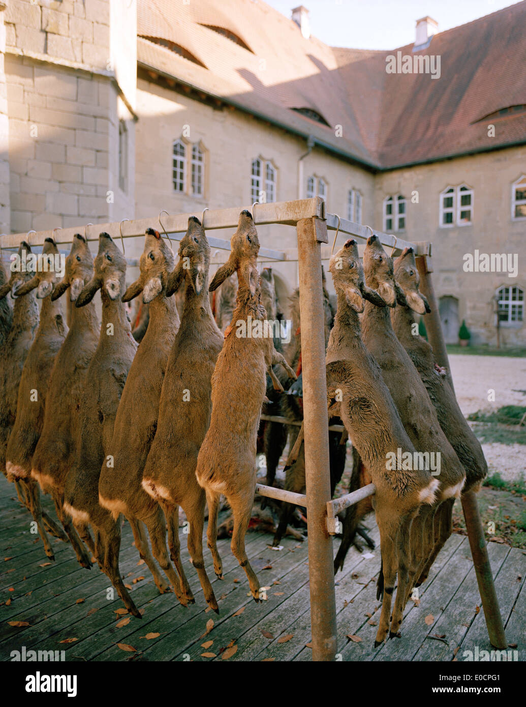 Hanging deer hi-res stock photography and images - Alamy