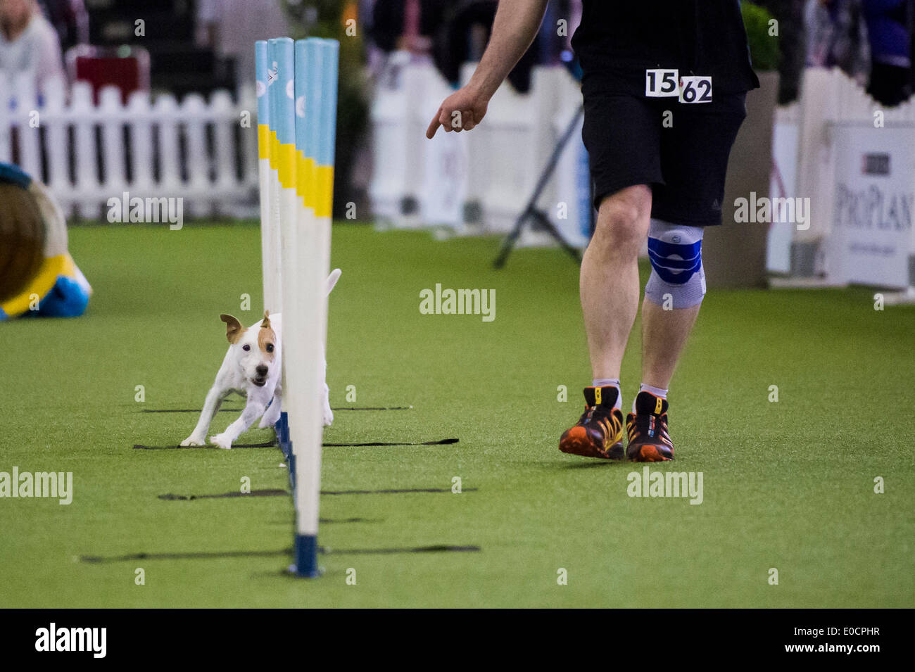 Dortmund, Germany. 09th May, 2014. A dog owner is pictured with his ...