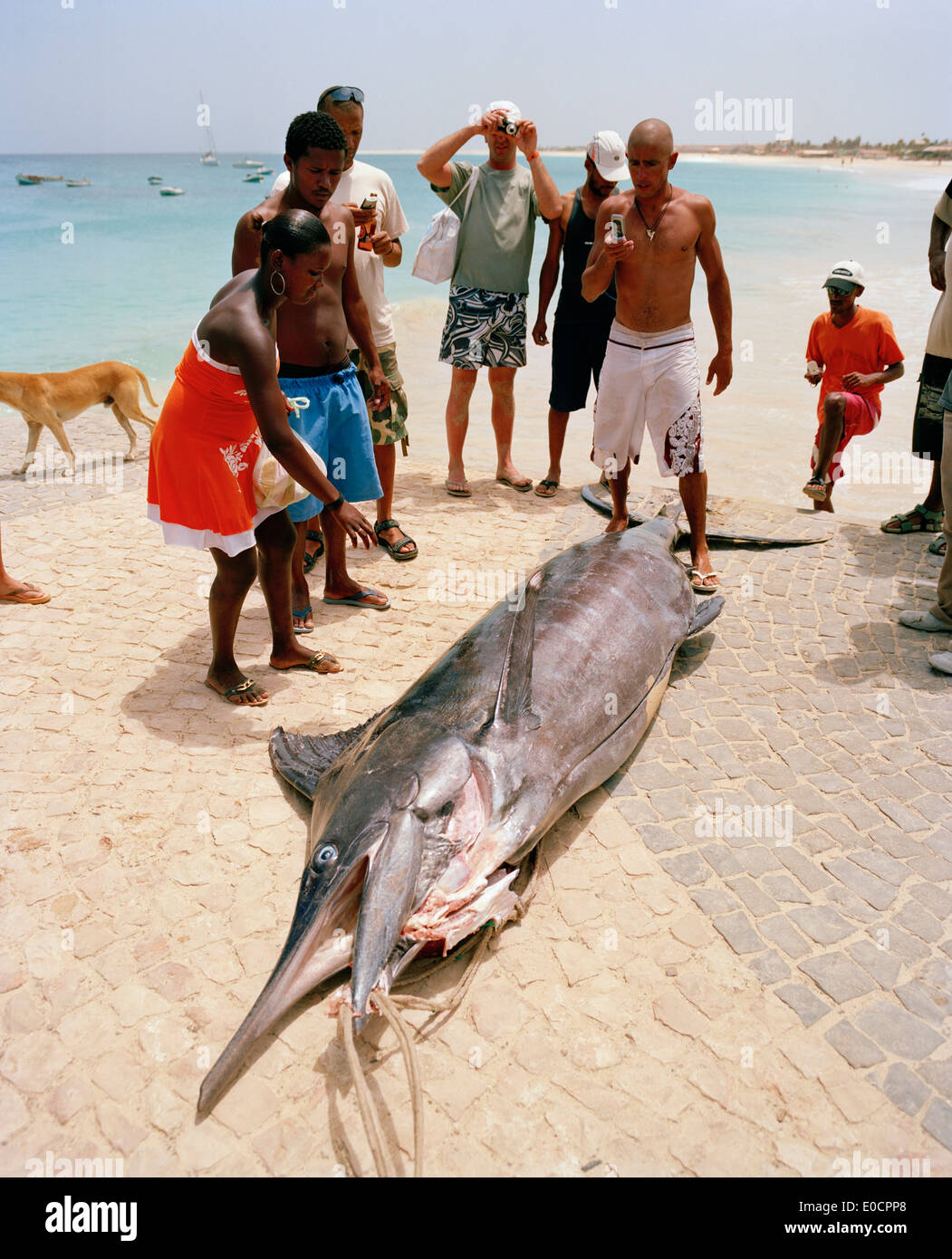 Pontao de santa maria hi-res stock photography and images - Alamy