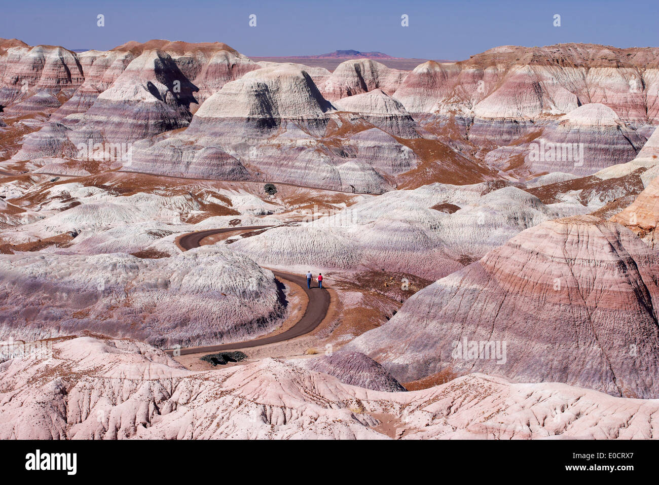 Petrified forest national park arizona hi-res stock photography and ...