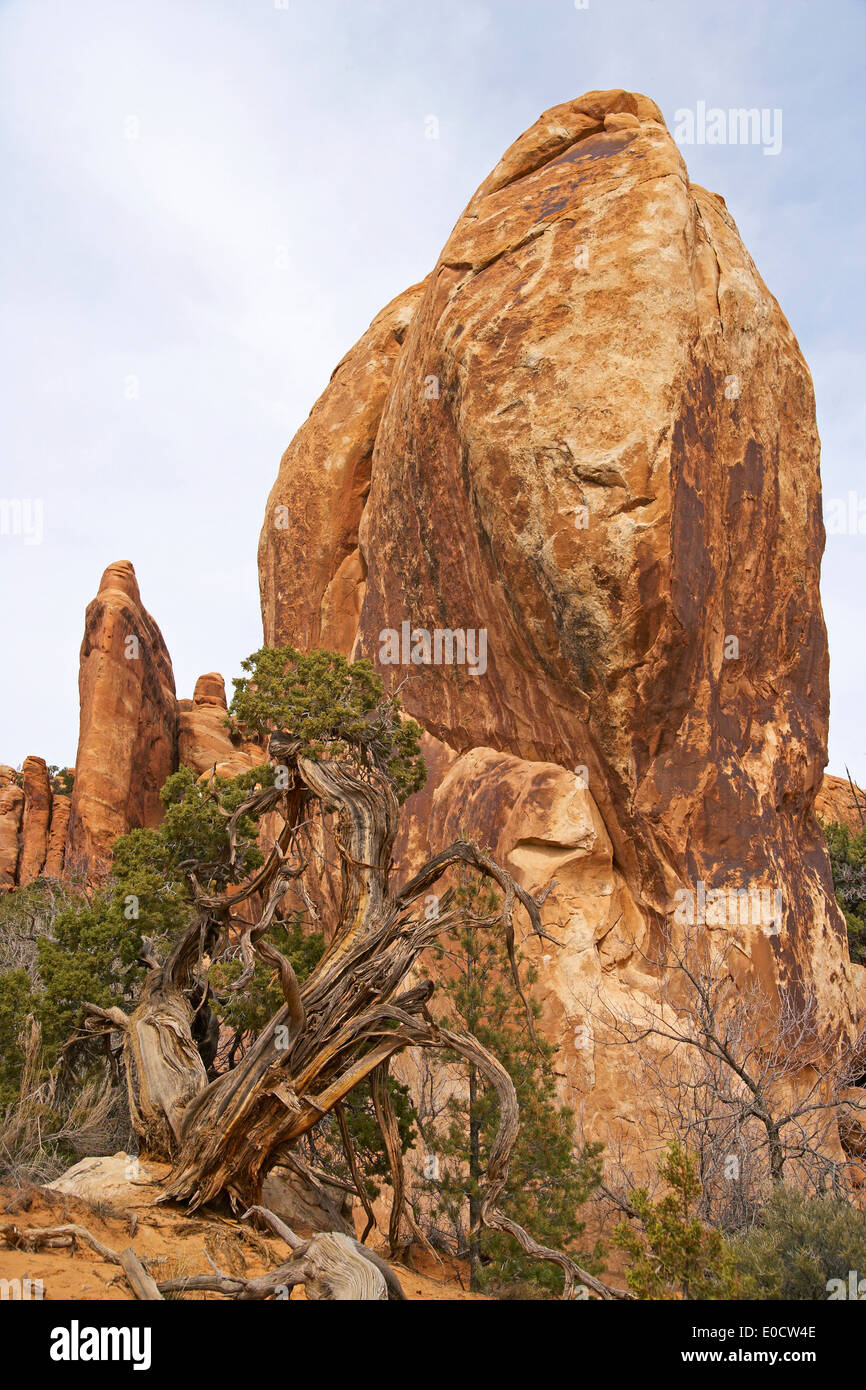 Devils Garden, Arches National Park, Utah, USA, America Stock Photo - Alamy