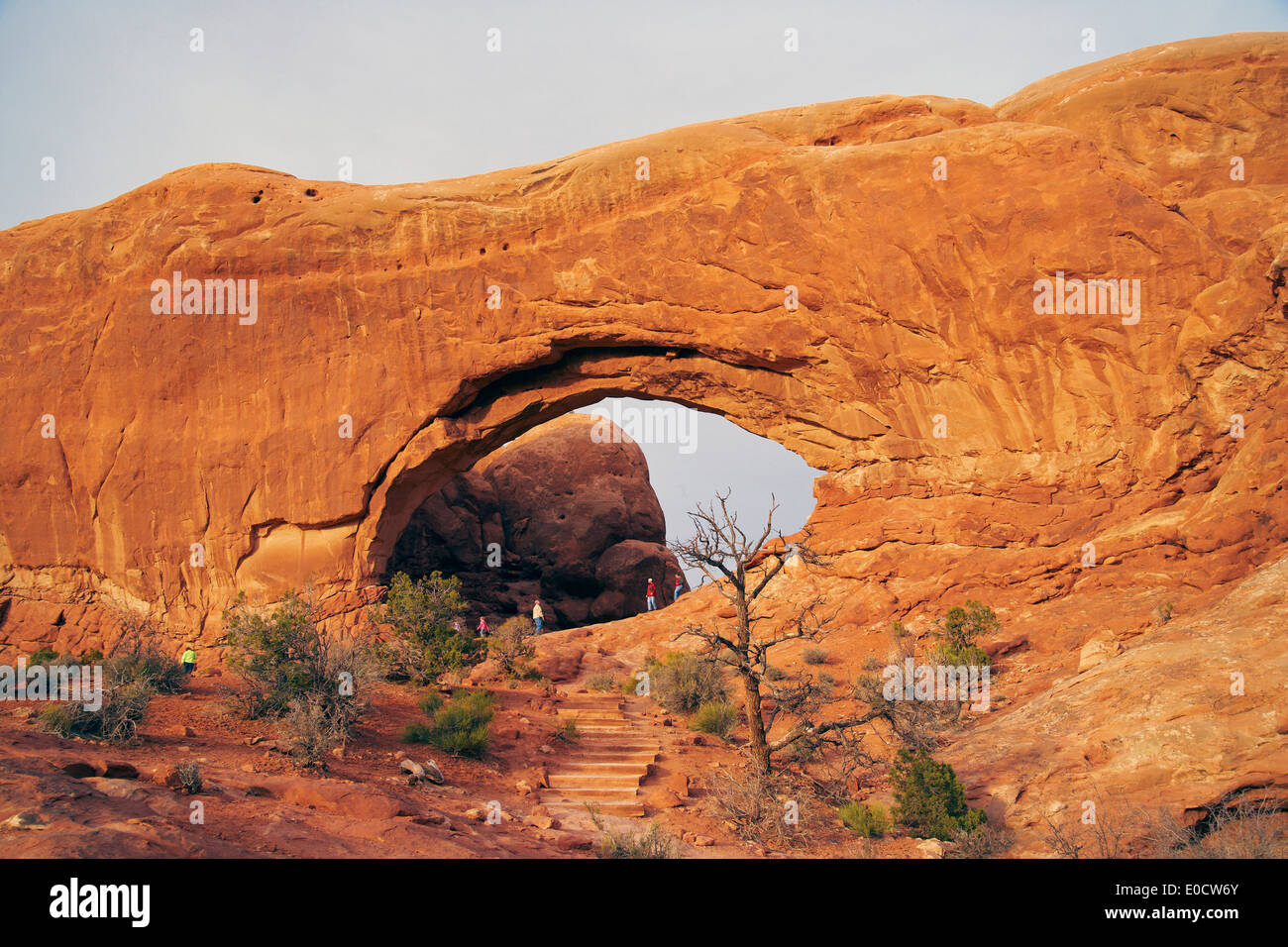 Windows section hi-res stock photography and images - Alamy