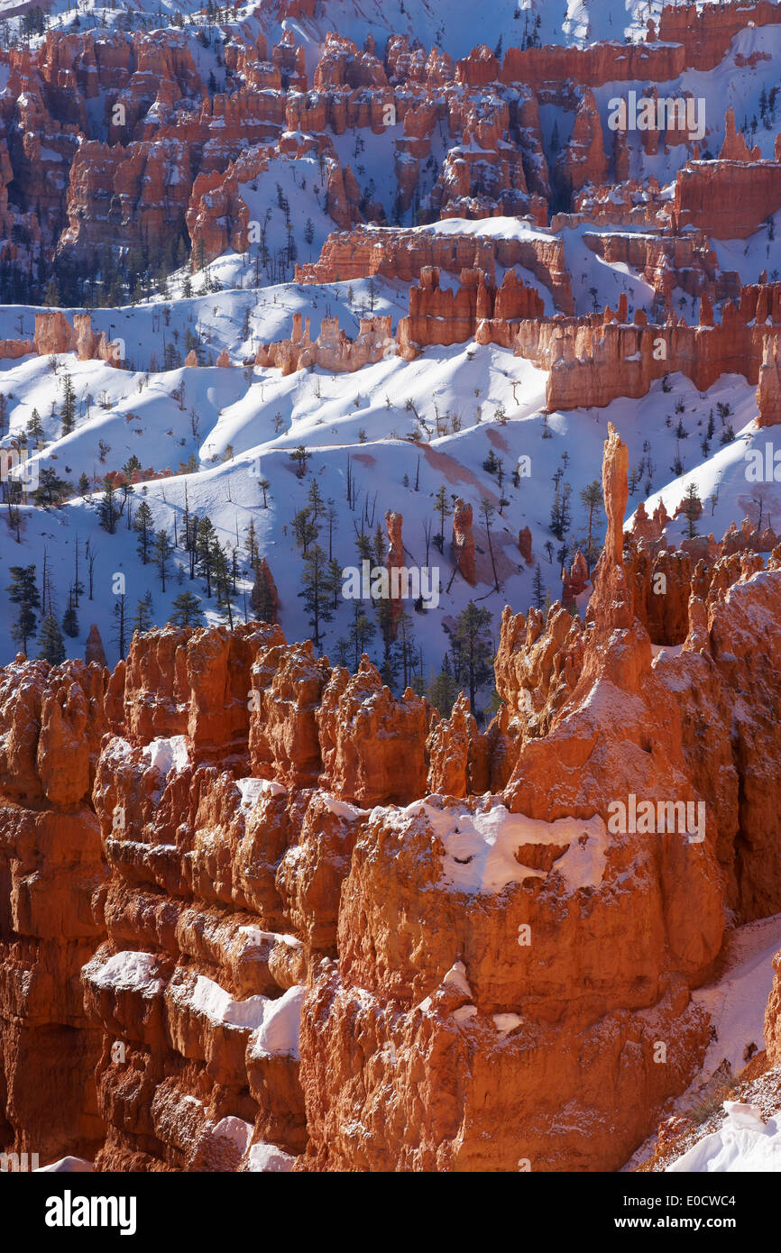 Bryce amphitheater view hi-res stock photography and images - Alamy