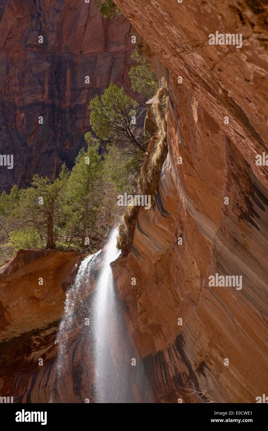 Lower emerald pool zion hi-res stock photography and images - Alamy