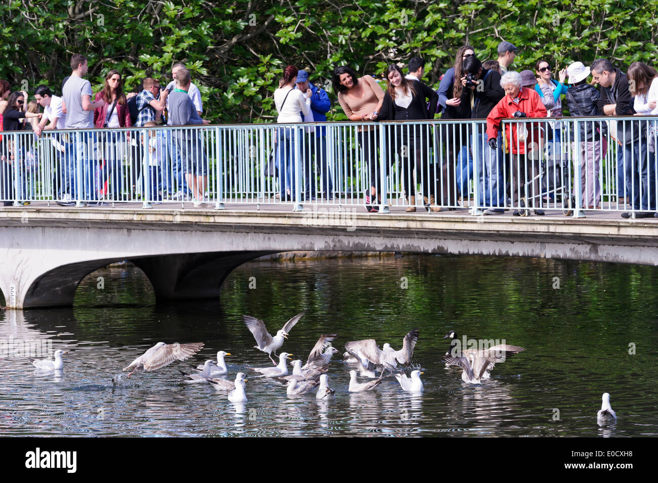 People crossing a small steel bridge in St James Park, London, England ...