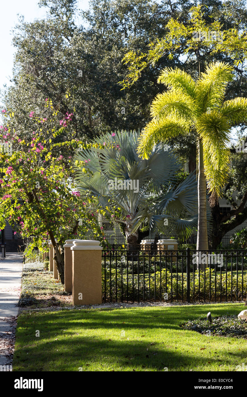 Tropical Landscaping, Residential Neighborhood ,Tampa, FL, USA Stock ...