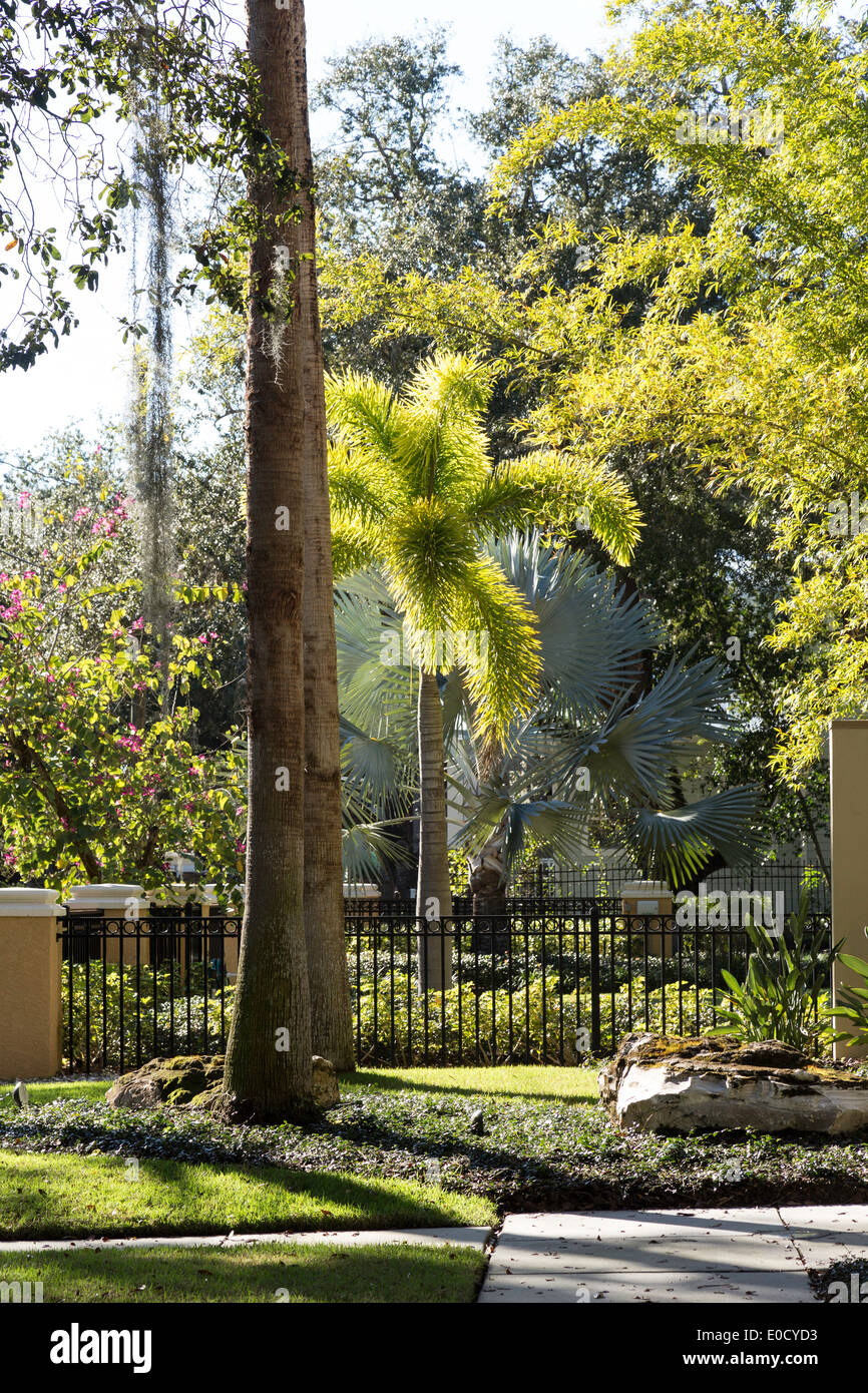 Tropical Landscaping, Residential Neighborhood ,Tampa, FL, USA Stock ...