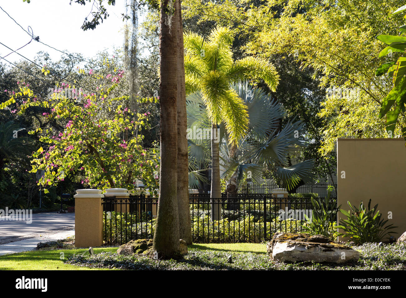 Neighborhood residential trees hi-res stock photography and images - Alamy