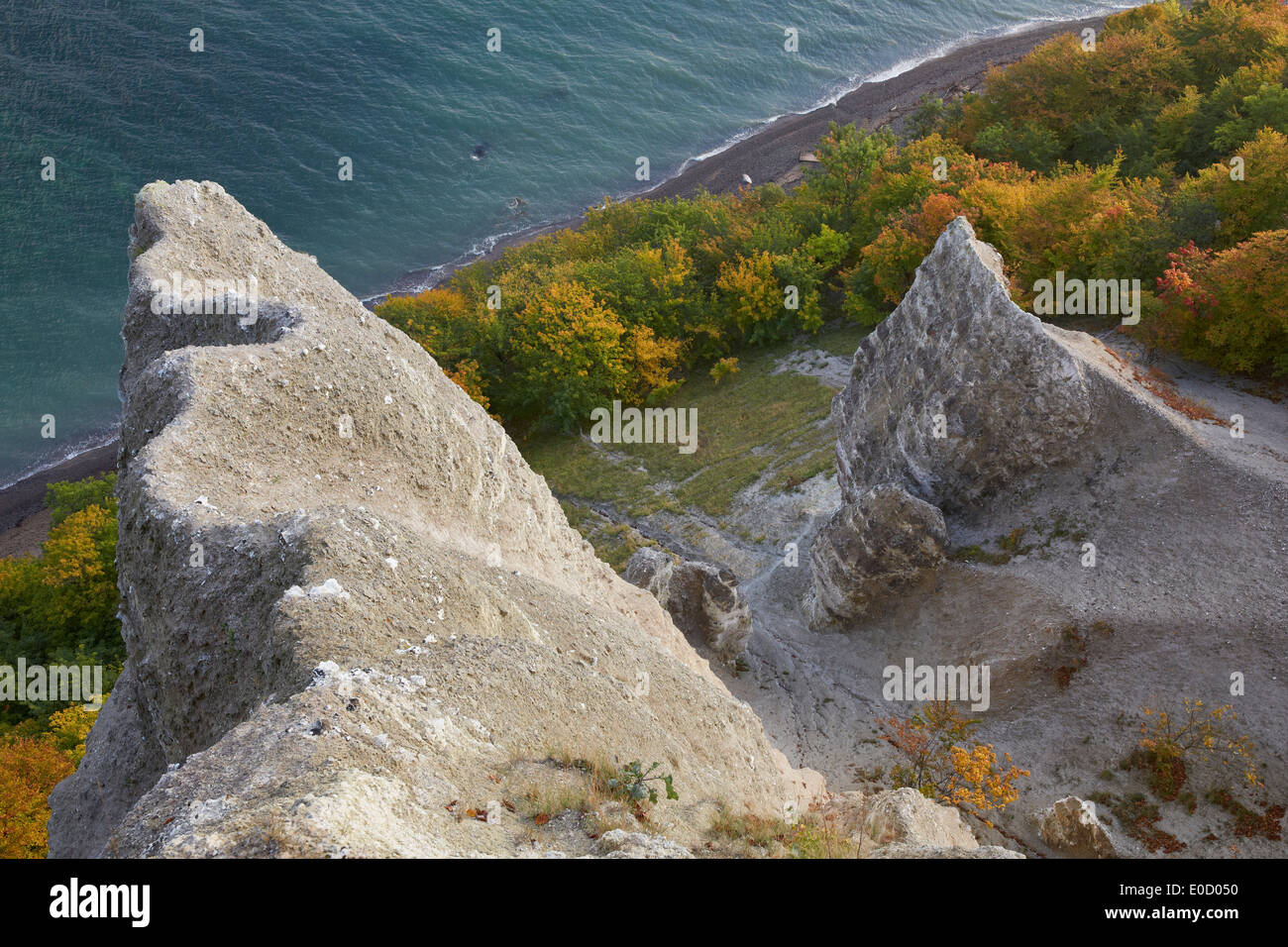 In the jasmund national park hi-res stock photography and images - Alamy