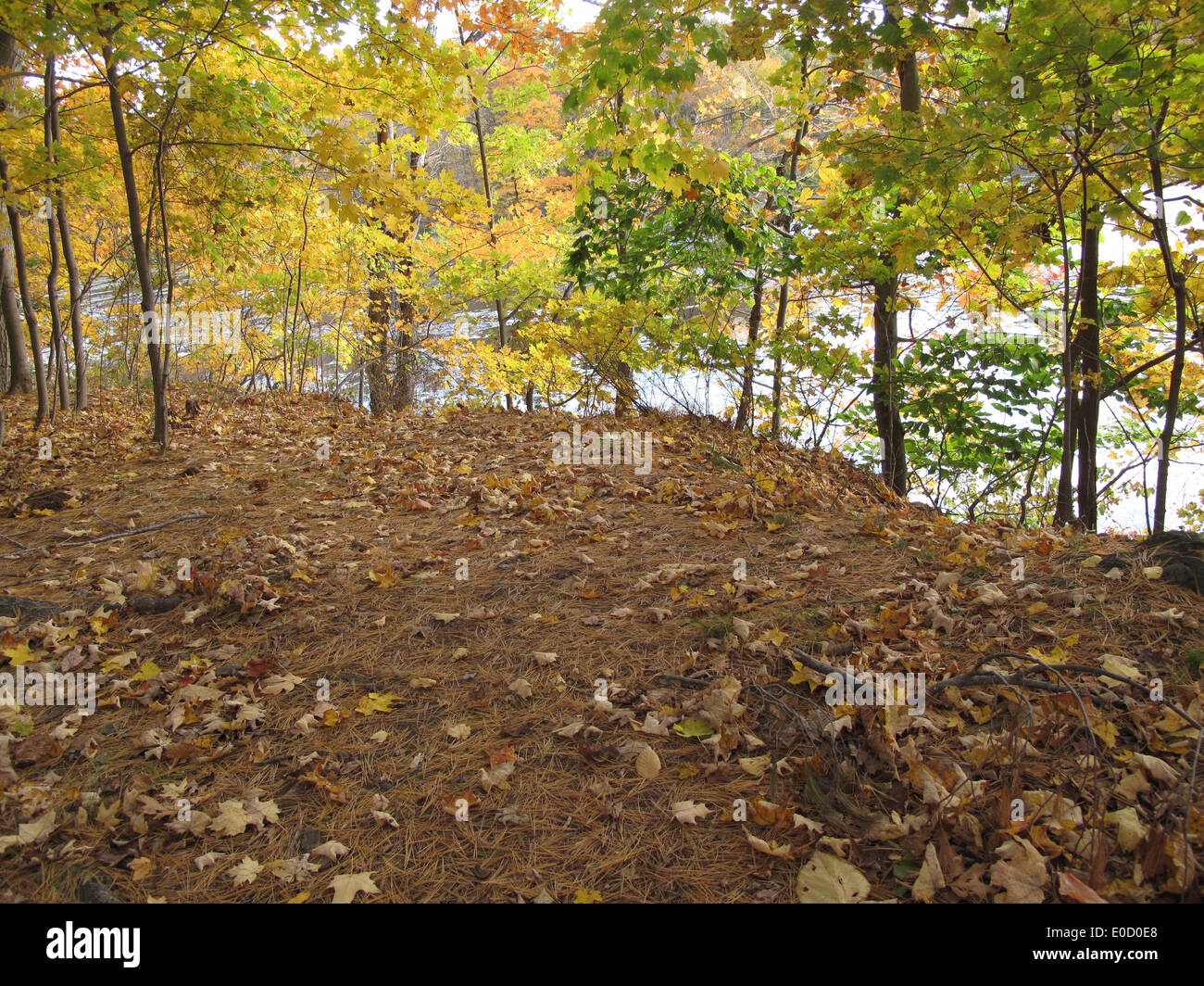 Fall scenes barn hi-res stock photography and images - Alamy
