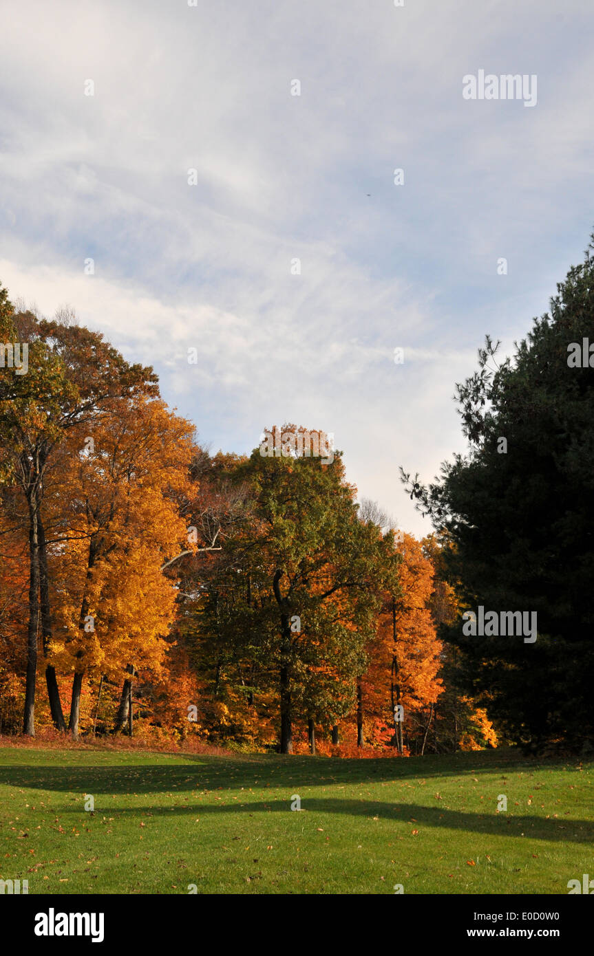 Red autumn leaves golf course hi-res stock photography and images - Alamy