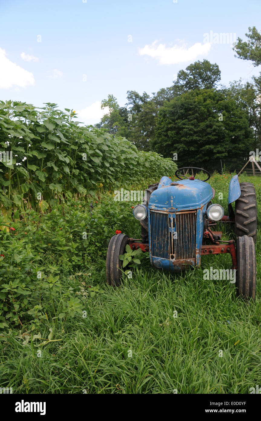 Ford n series tractor hi-res stock photography and images - Alamy
