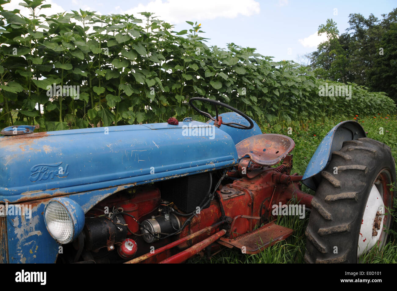Henry ford tractor hi-res stock photography and images - Alamy
