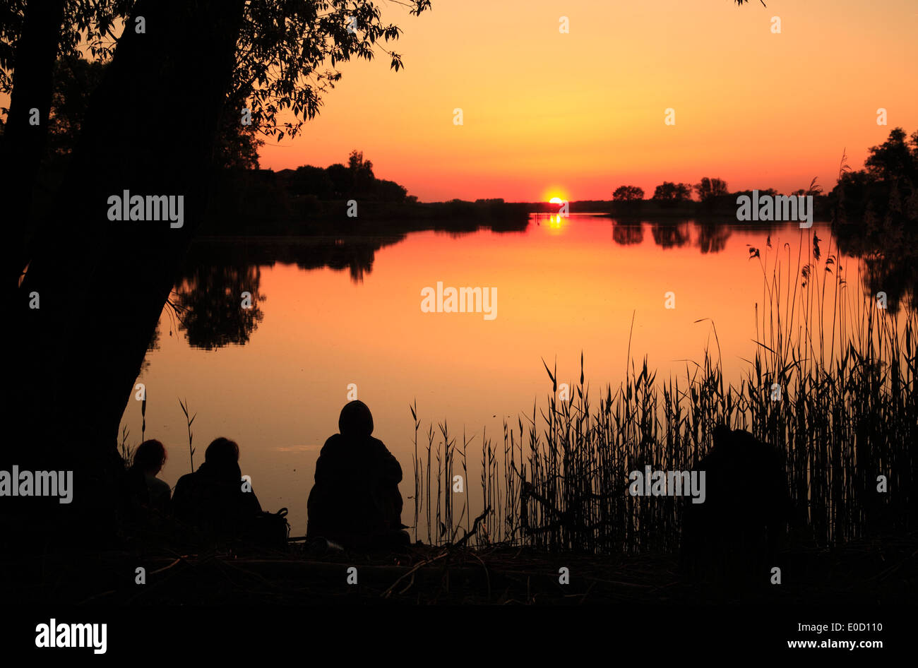 Sunset at lake Arendsee, Altmark, Sachsen-Anhalt, Germany, Europe Stock ...