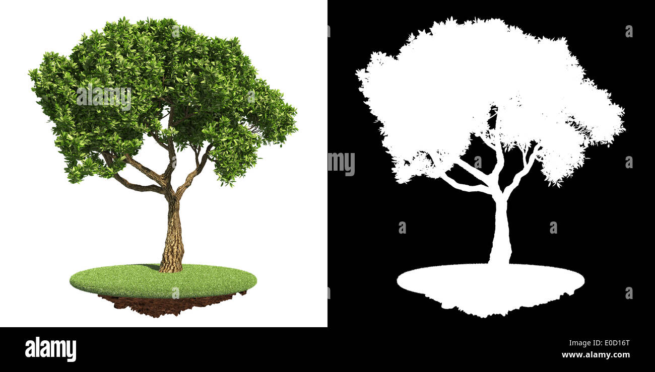 Green tree detail hi-res stock photography and images - Alamy