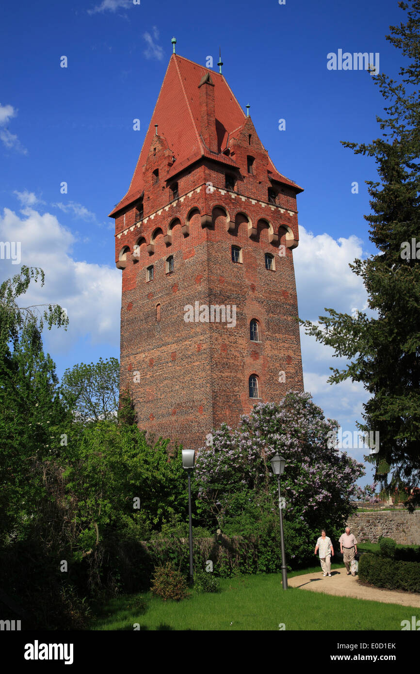 Bergfried tower, Tangermuende, Tangermünde, Altmark, Sachsen-Anhalt ...