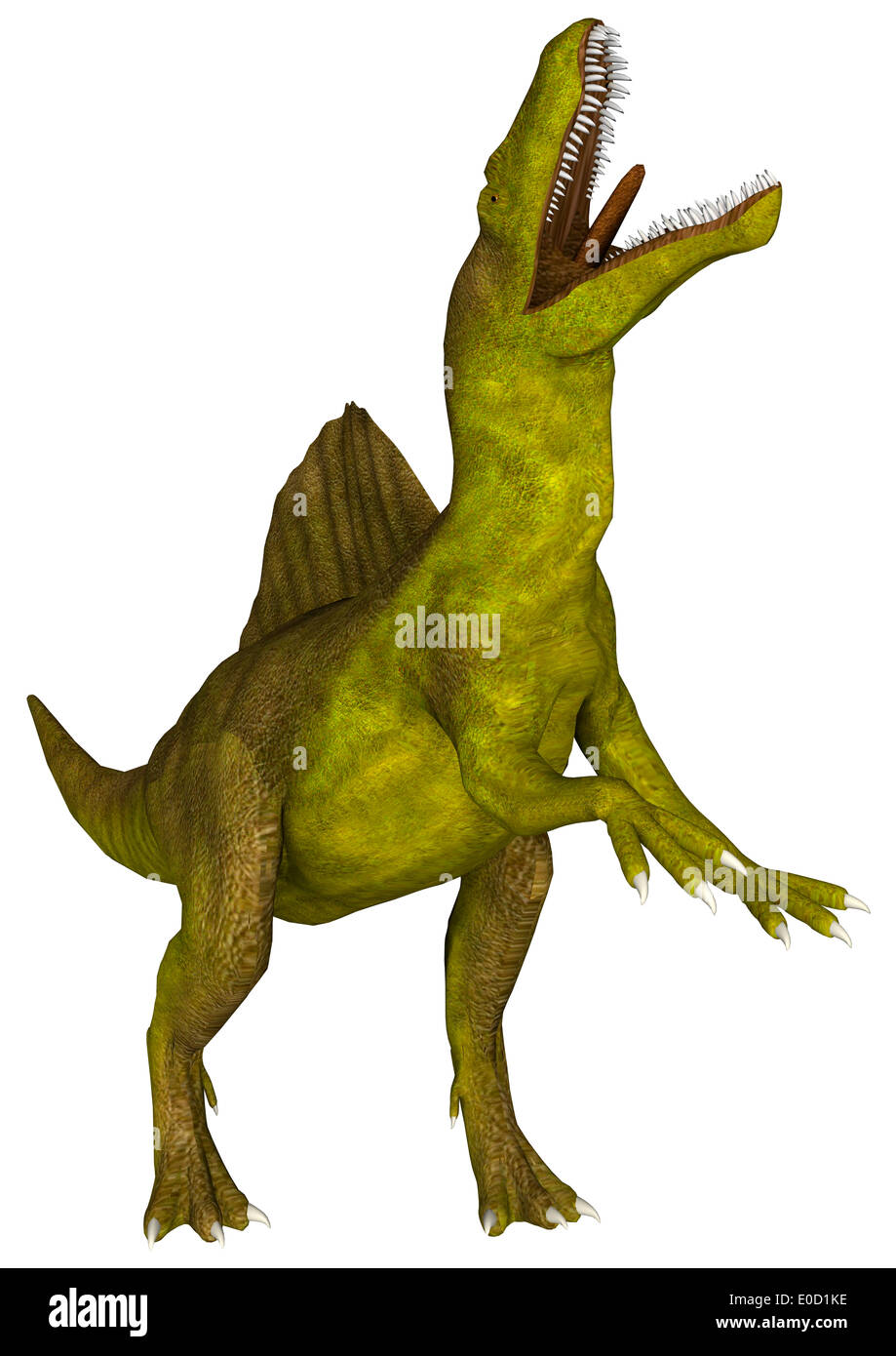 3D digital render of an aggressive Cretaceous dinosaur Spinosaurus ...