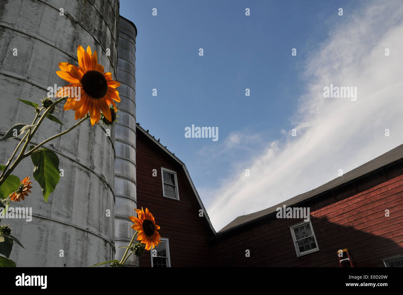 Summer farm scene barns flowers hi-res stock photography and images - Alamy