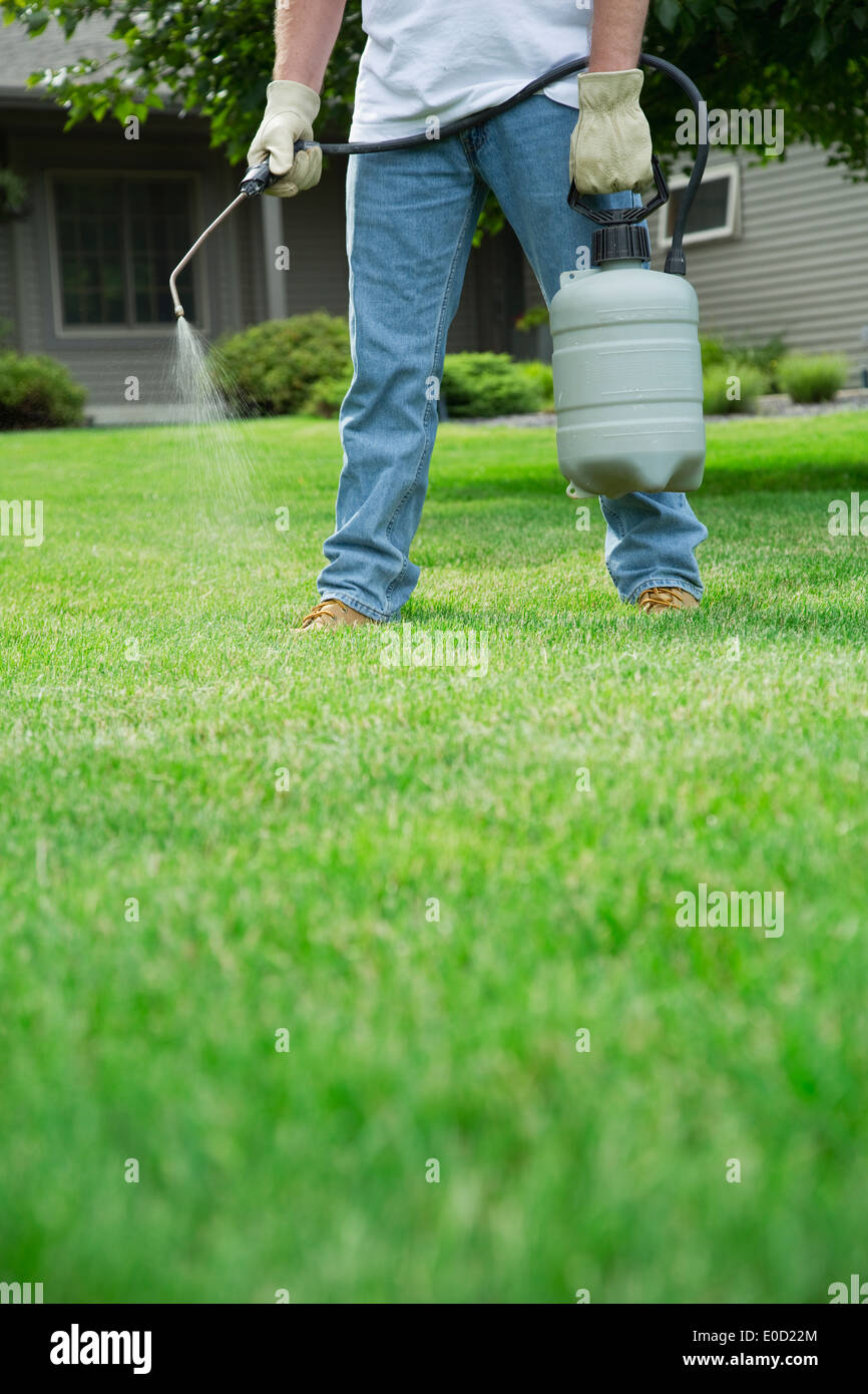 Man spraying weedkliller on lawn Stock Photo - Alamy