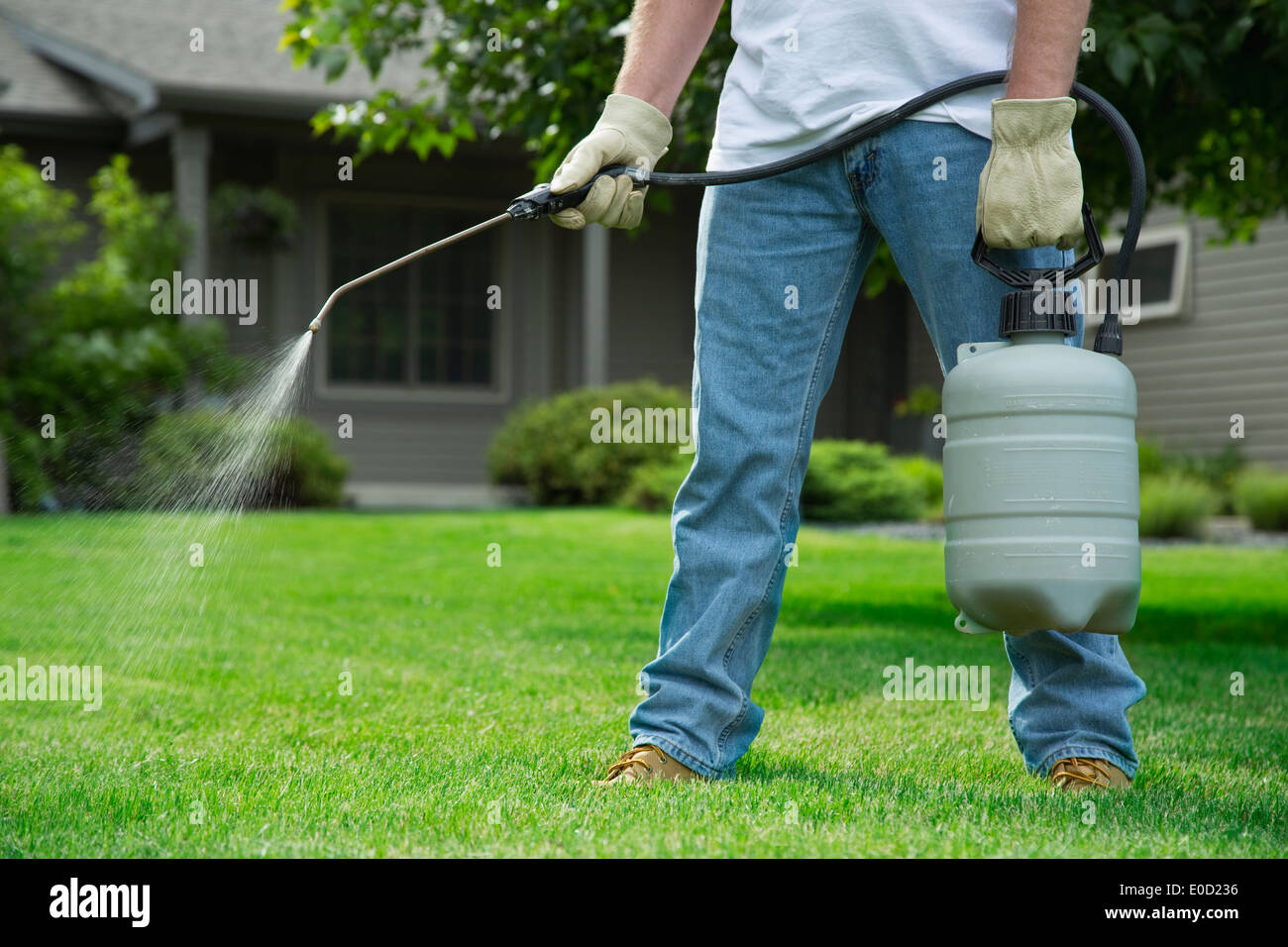 Spraying weedkiller on lawn hi-res stock photography and images - Alamy