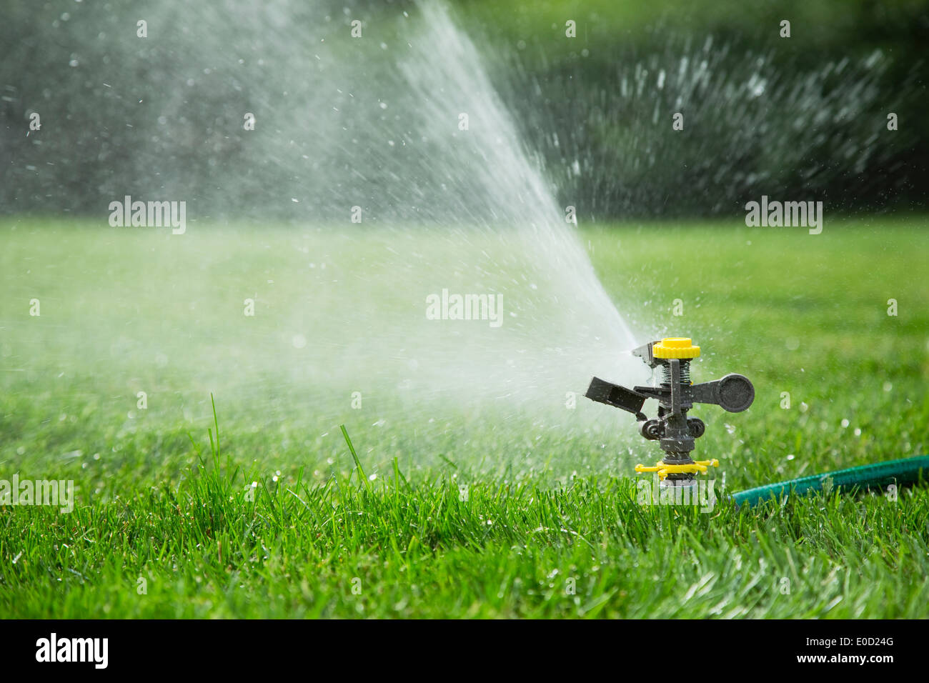 Sprinkler man hi-res stock photography and images - Alamy