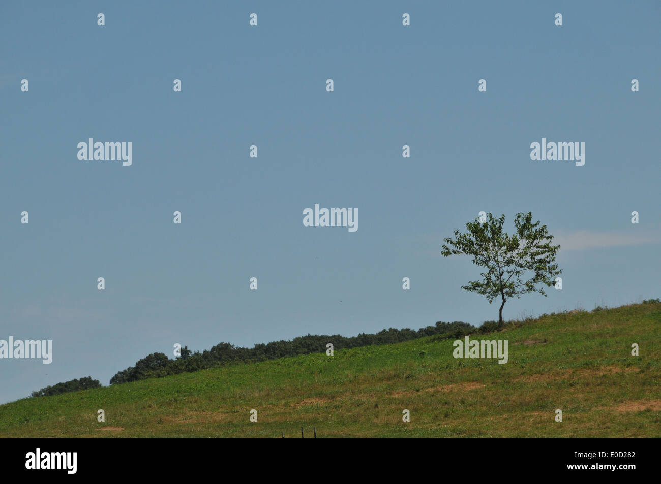 Positive correlation hi-res stock photography and images - Alamy