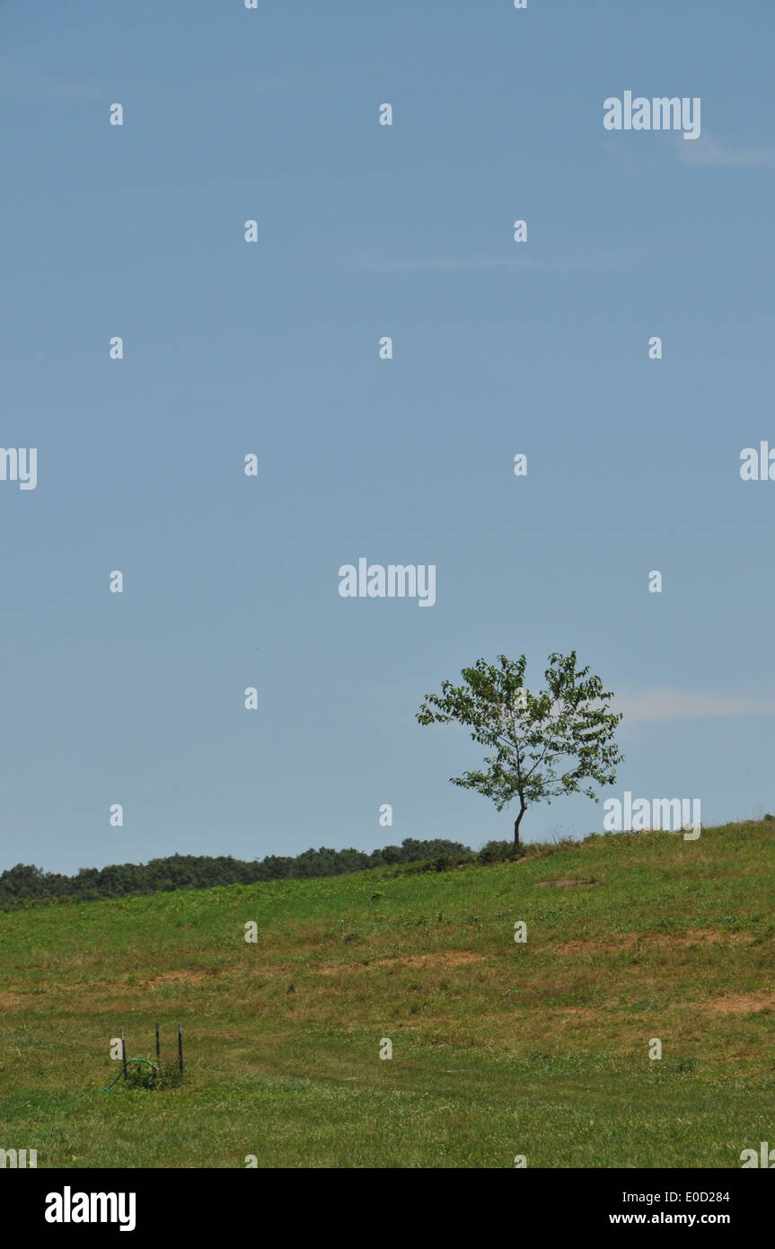 Positive correlation hi-res stock photography and images - Alamy