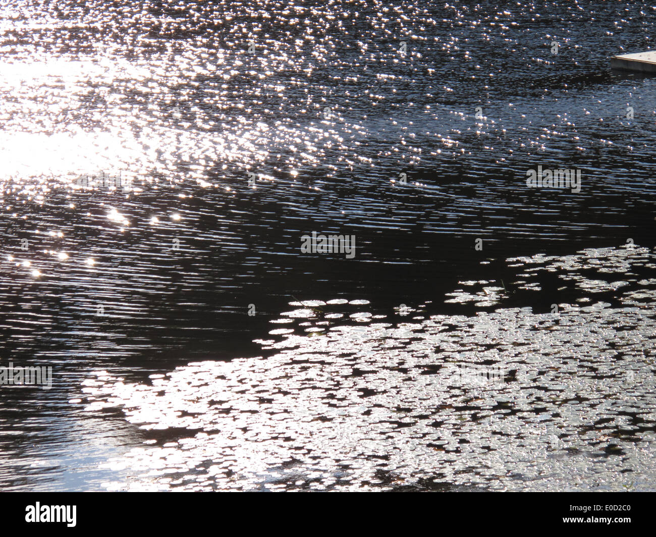 Sun over water Stock Photo - Alamy