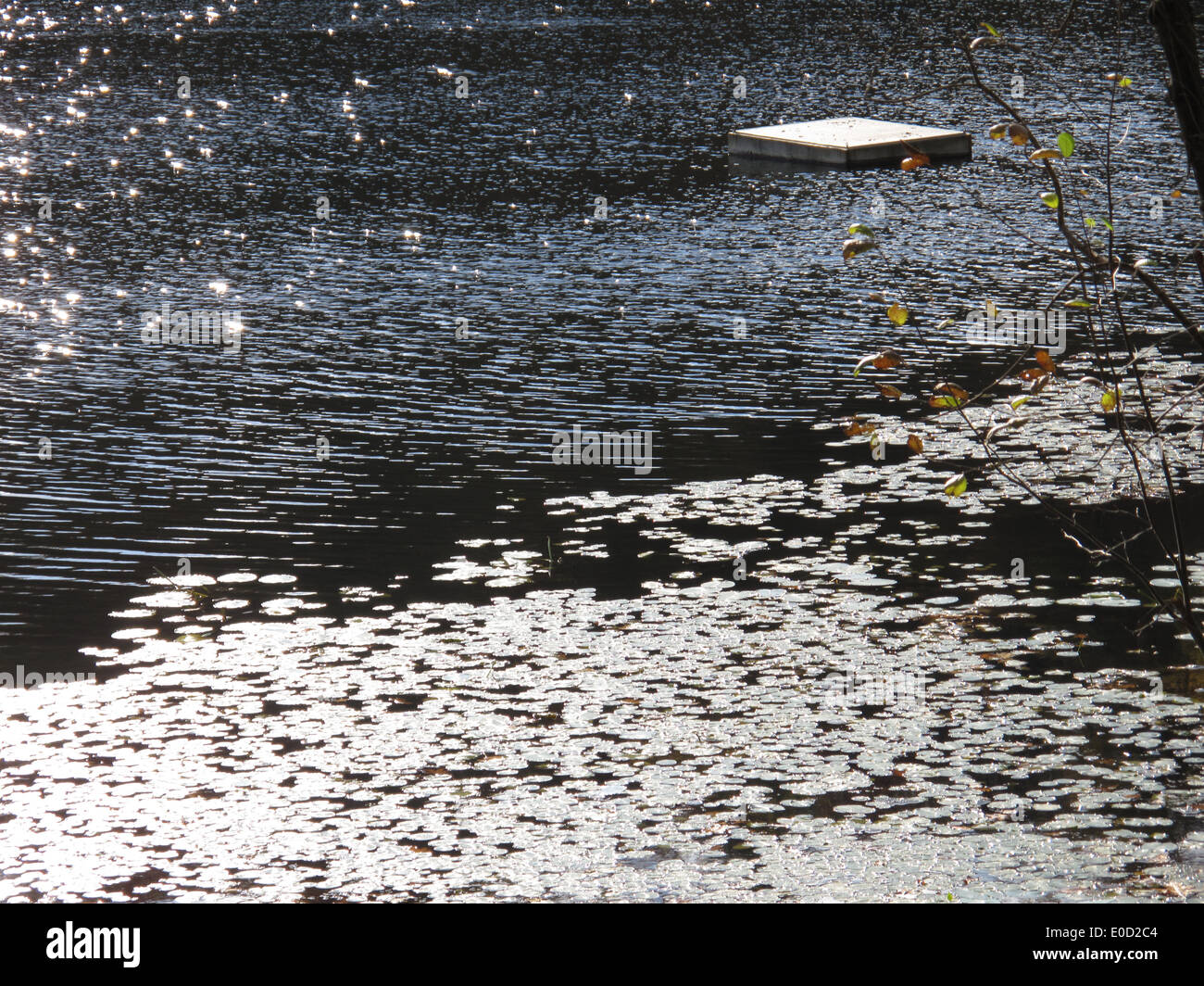 Sun over water Stock Photo - Alamy
