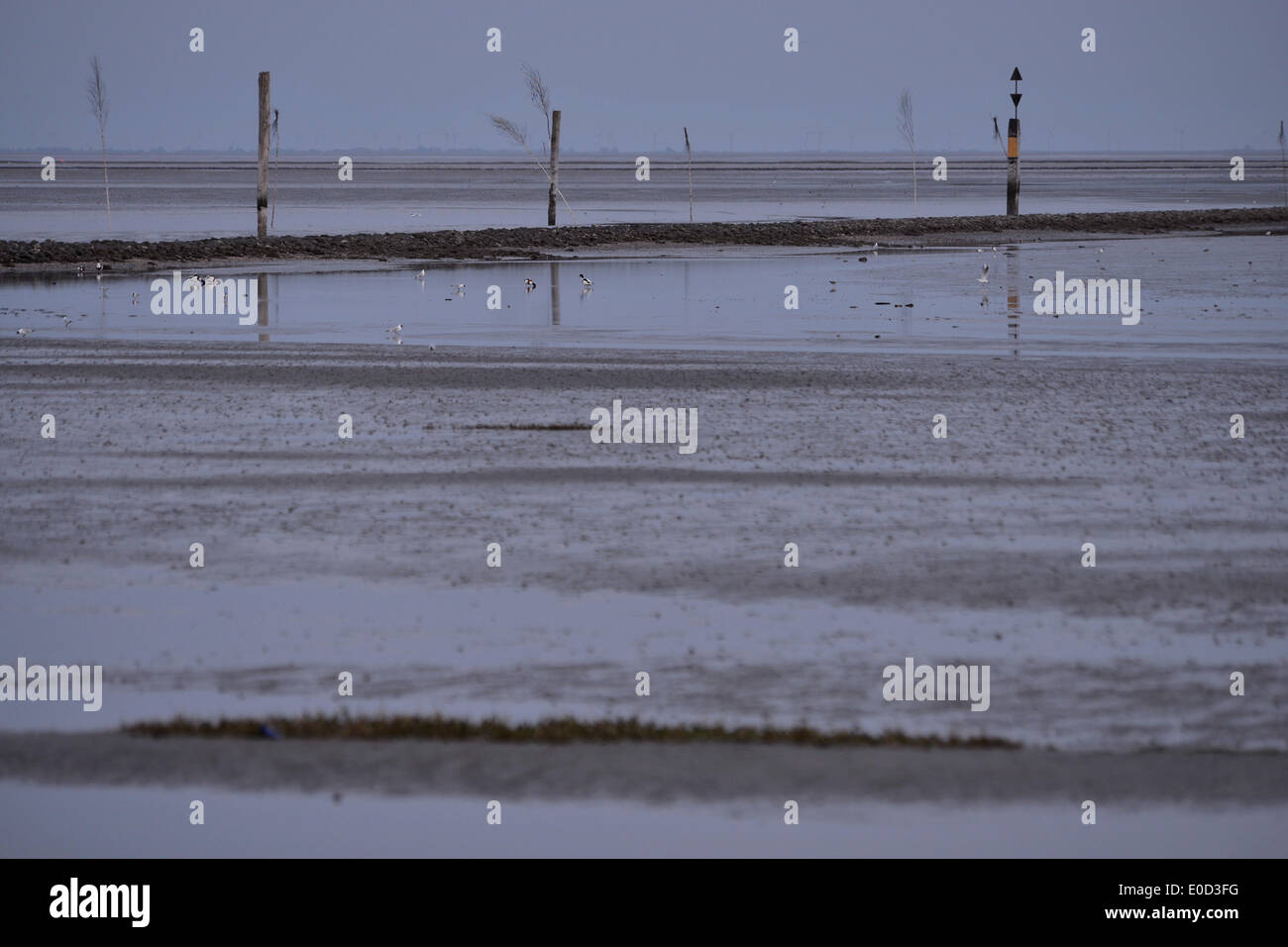 Fairway markers and sea marks in the Wadden Sea near Juist, 13 May 2013 ...