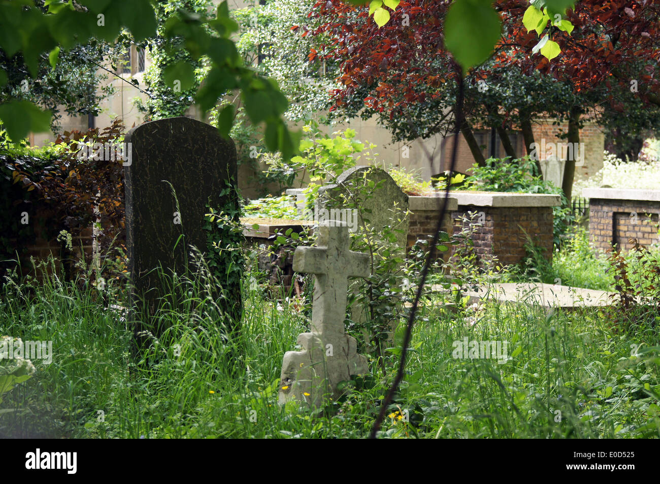 Tombstones surrounded with plants and trees Stock Photo - Alamy