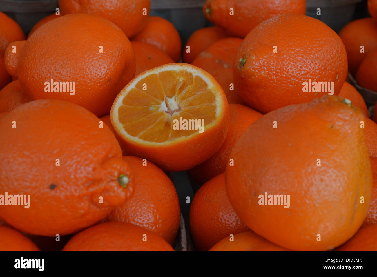 Florida citrus hi-res stock photography and images - Alamy