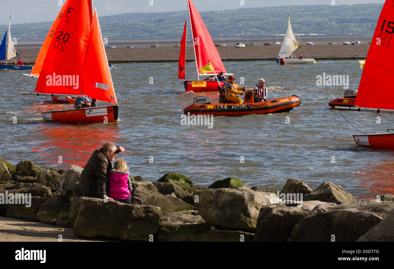 Adult firefly hi-res stock photography and images - Alamy