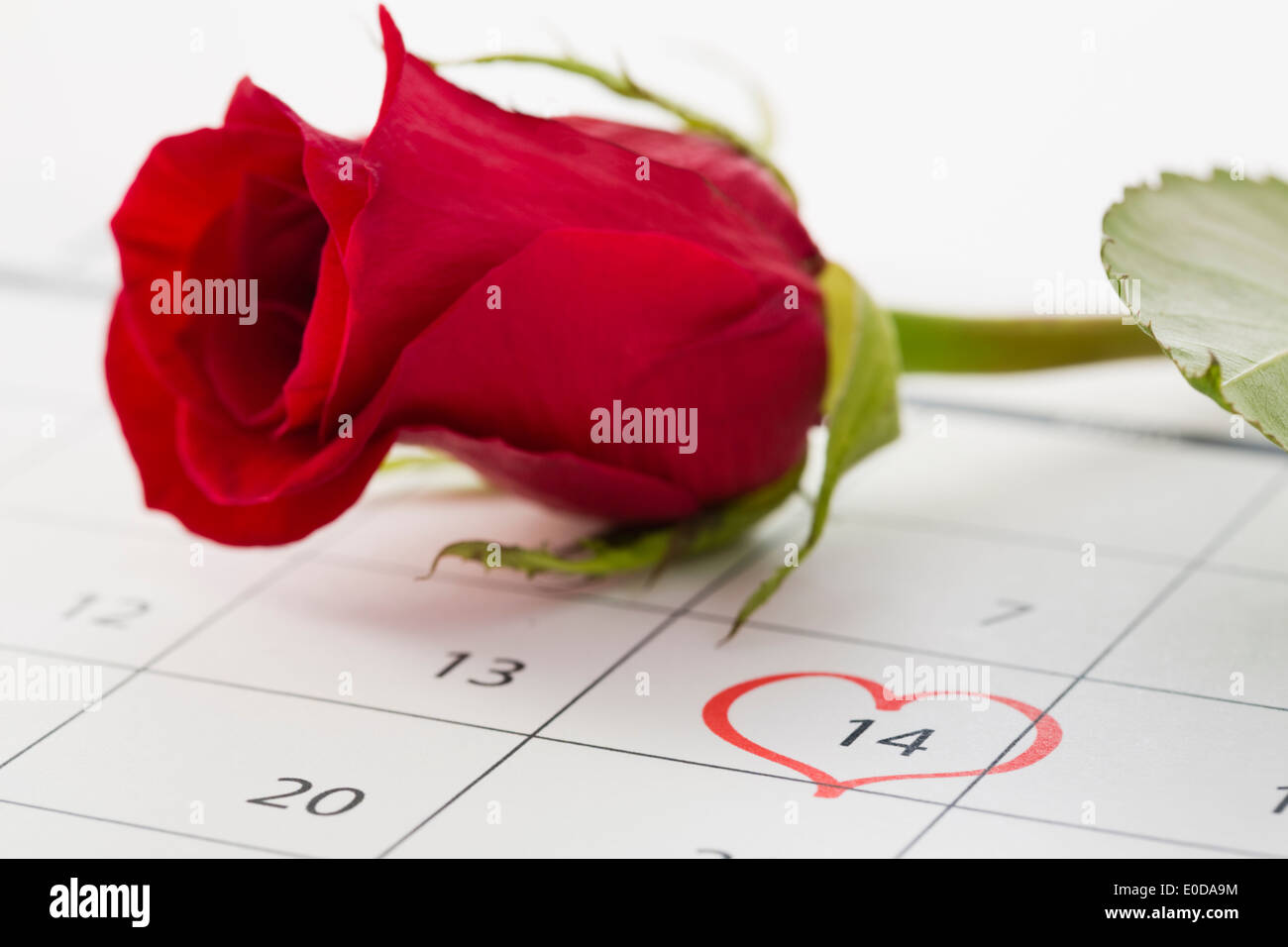 Rose calendar hi-res stock photography and images - Alamy
