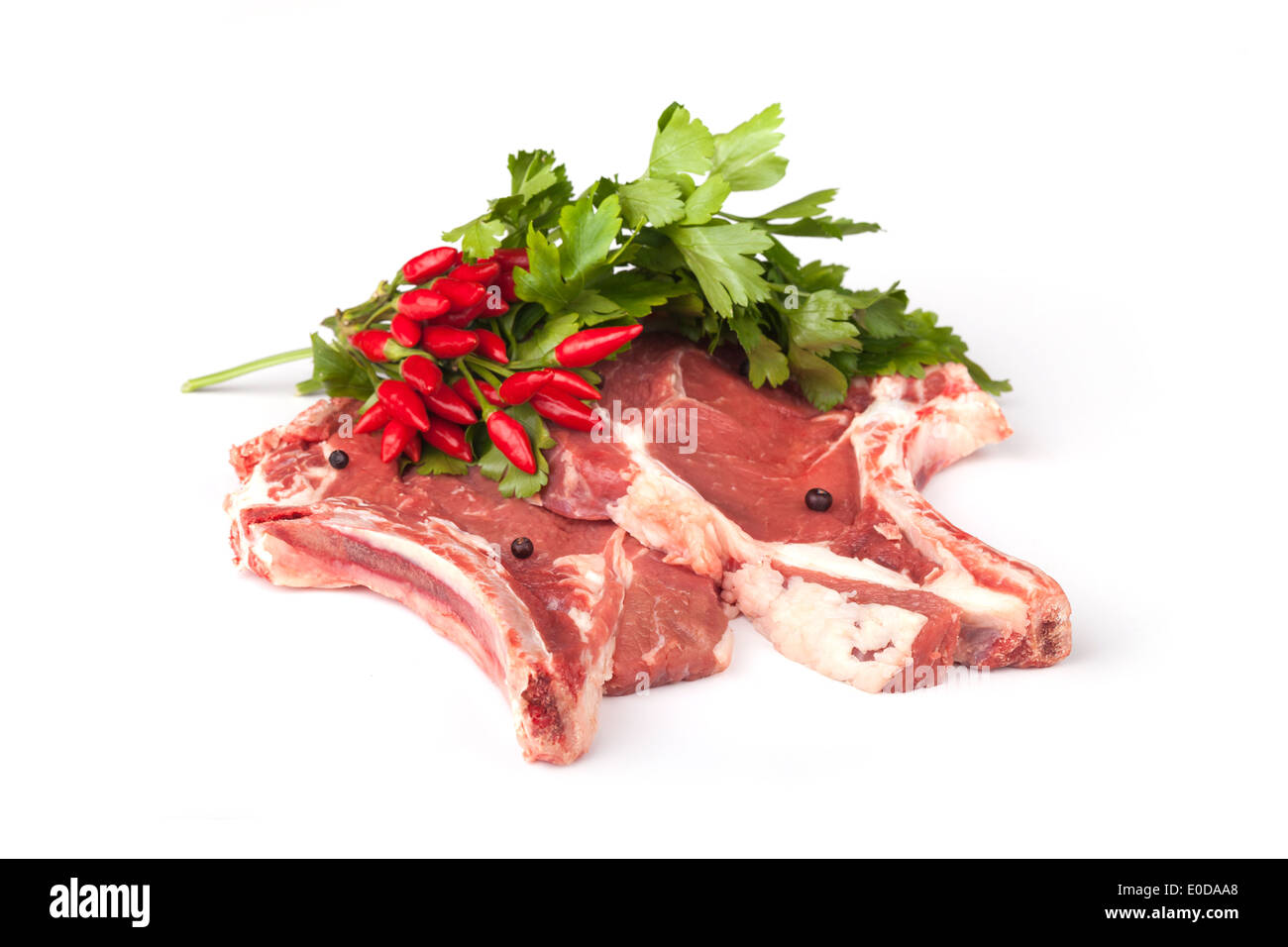 Bloody bone hi-res stock photography and images - Alamy