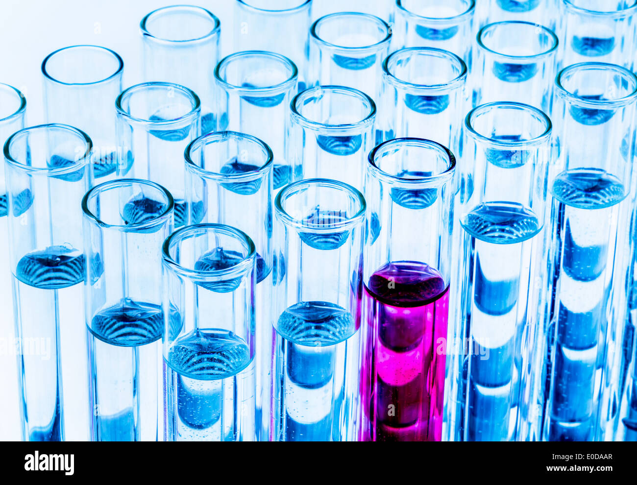 Many test tubes with an attempt in a research lab of a university ...