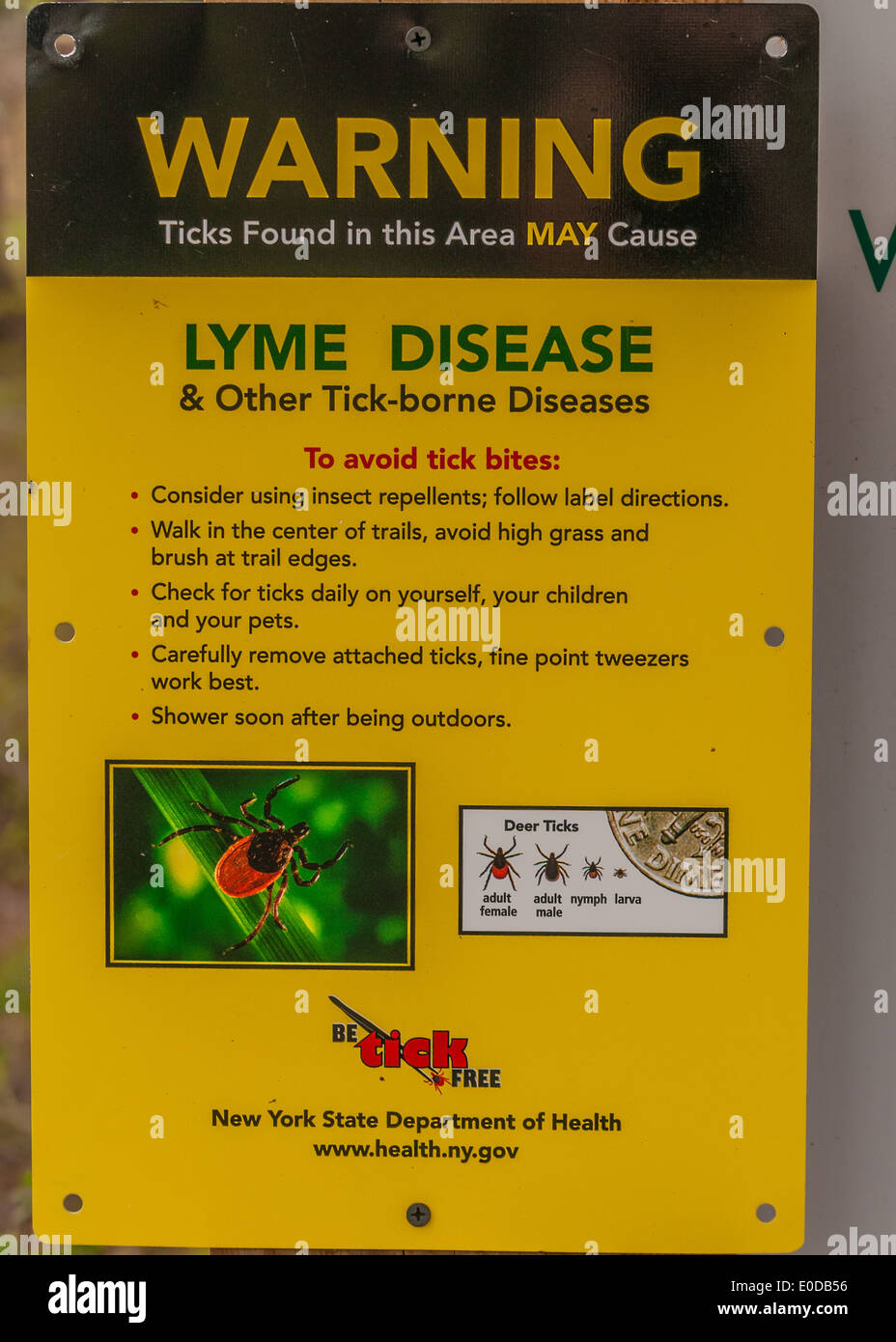 Warning insect hi-res stock photography and images - Alamy