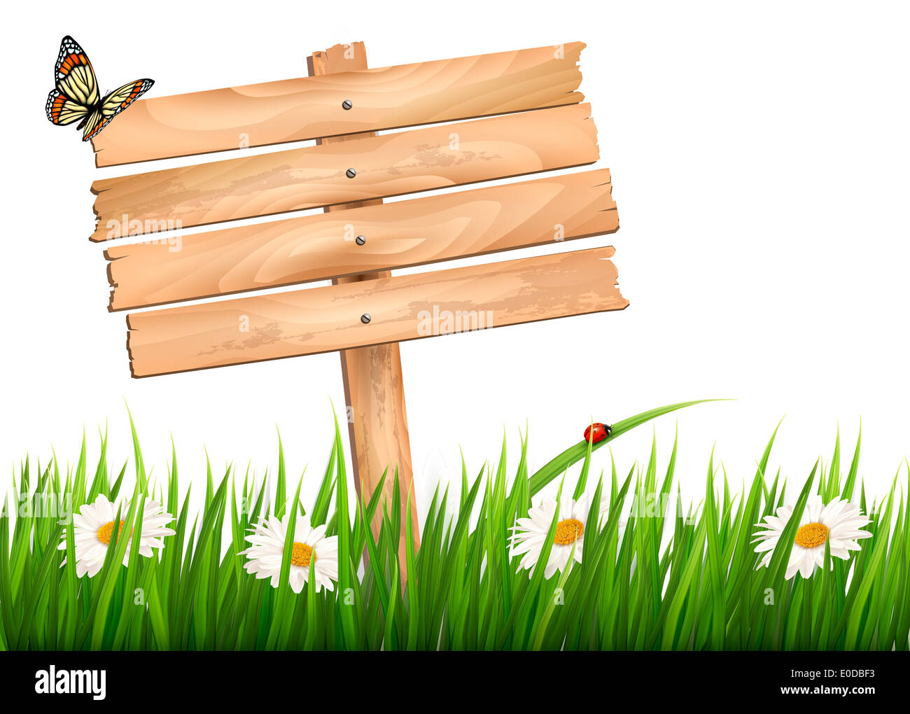 Nature background with green grass and flowers and wooden sign Vector ...
