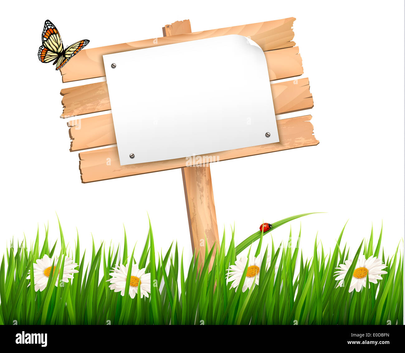 Nature background with green grass and flowers and wooden sign Vector ...