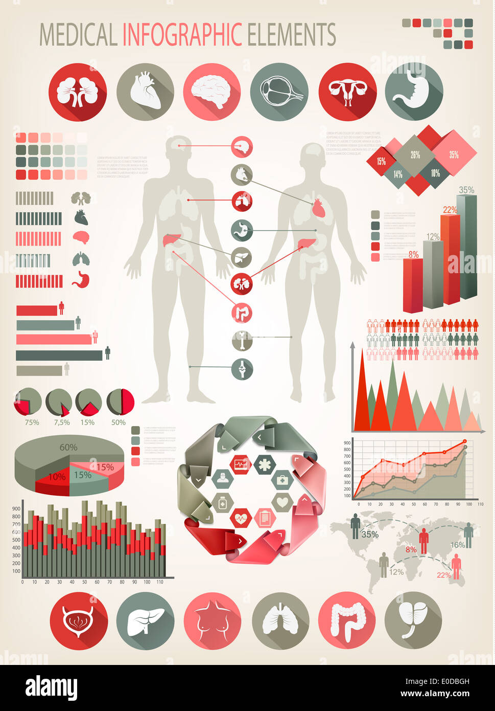 Medical infographics elements. Human body with internal organs. Vector ...