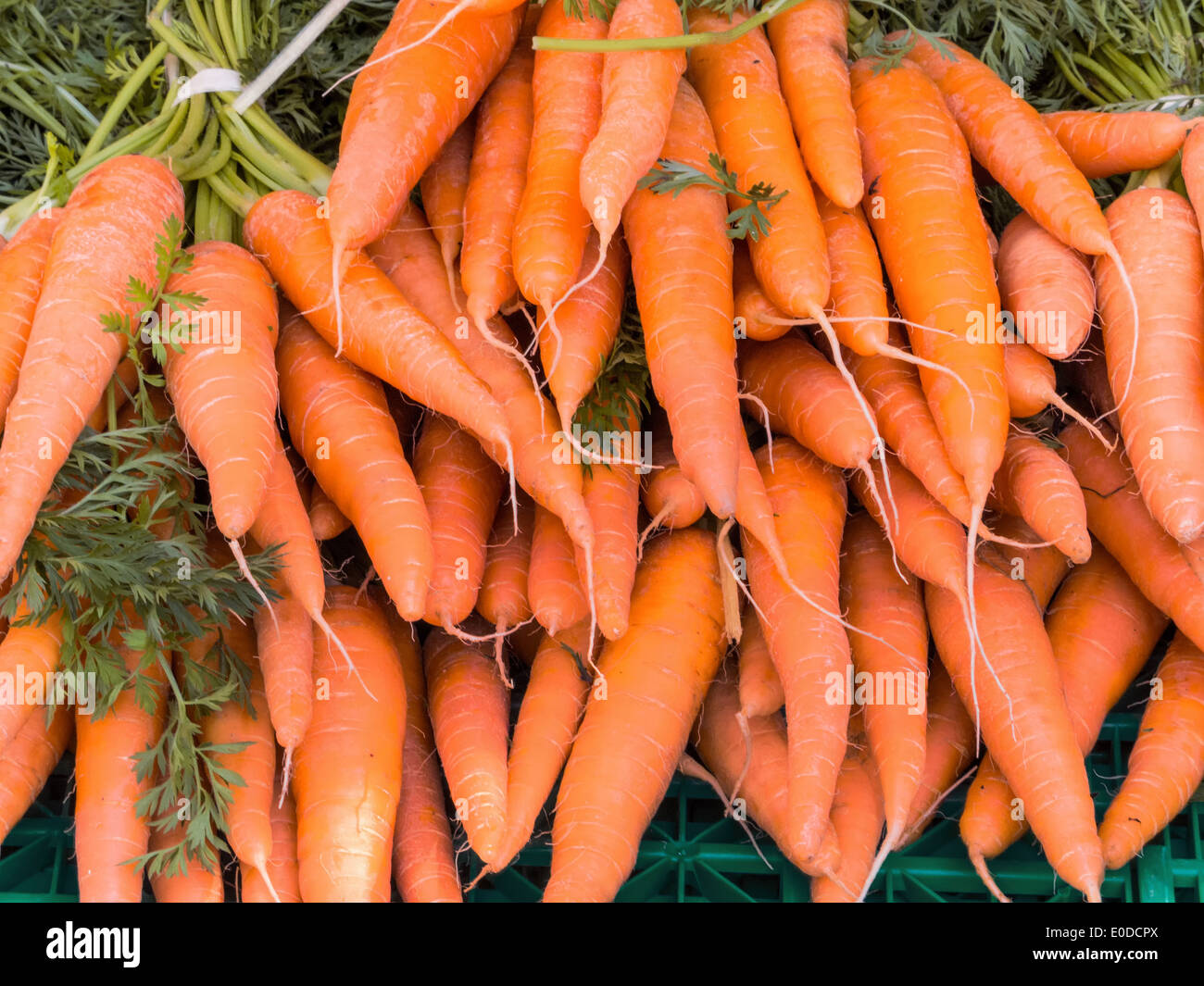 Frische karotten auf dem markt vitamine vom gemuesemarkt hi-res stock ...