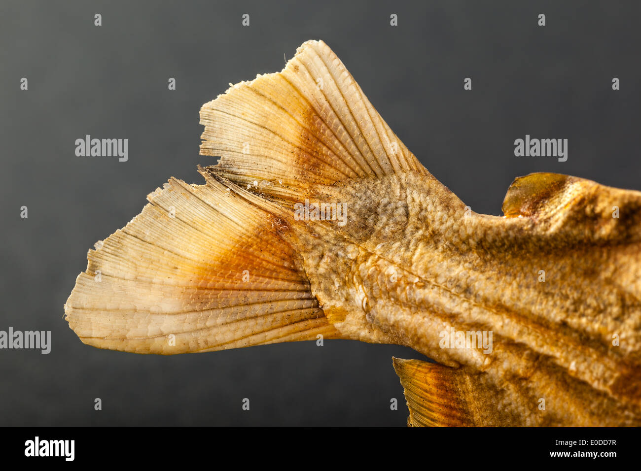 How to make a dried fish hi-res stock photography and images - Alamy