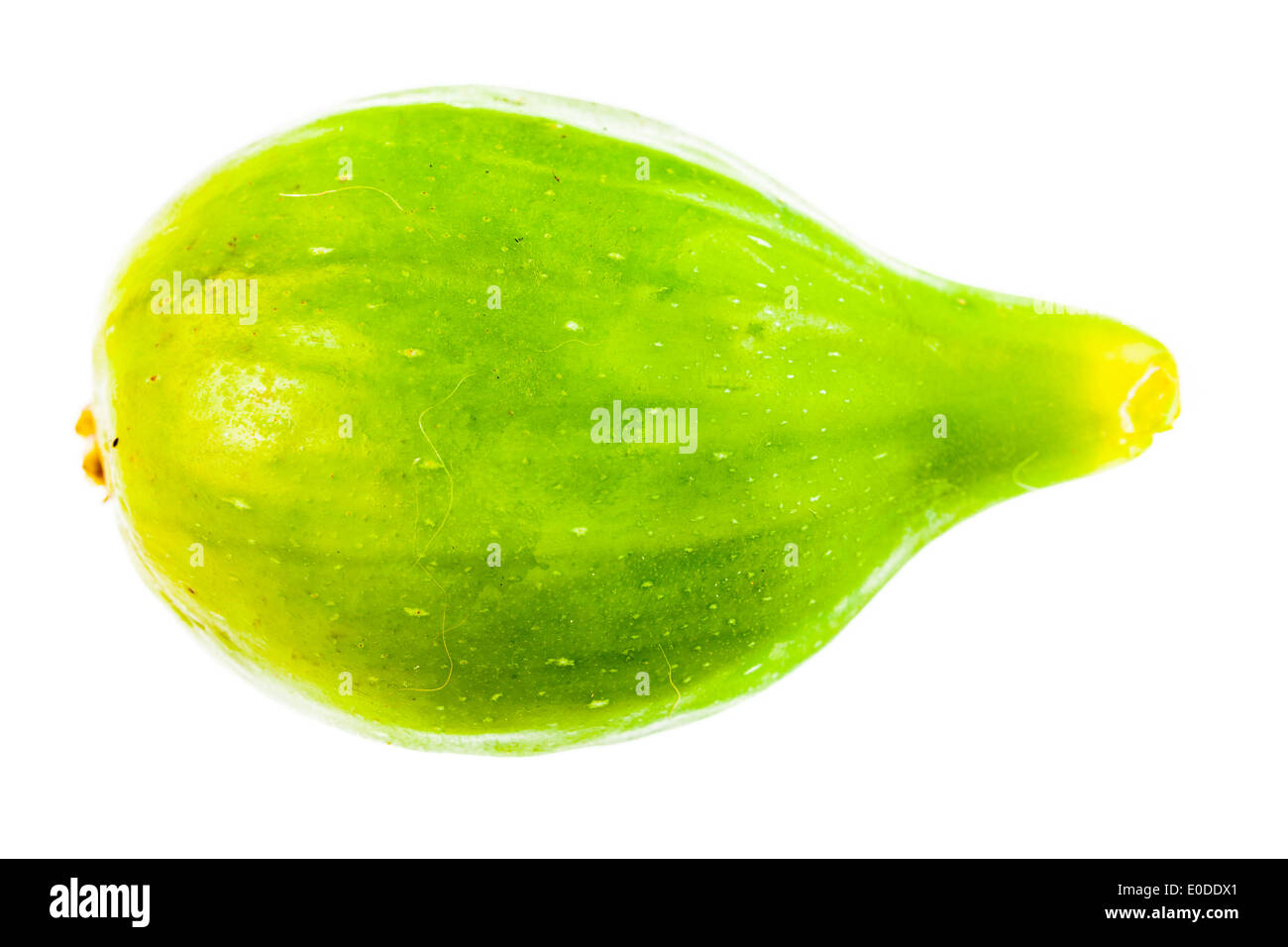 ripe green figs isolated over a white background Stock Photo - Alamy