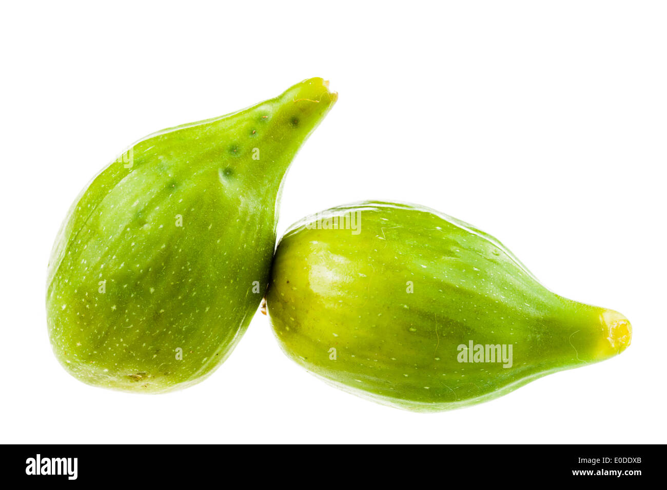 ripe green figs isolated over a white background Stock Photo - Alamy