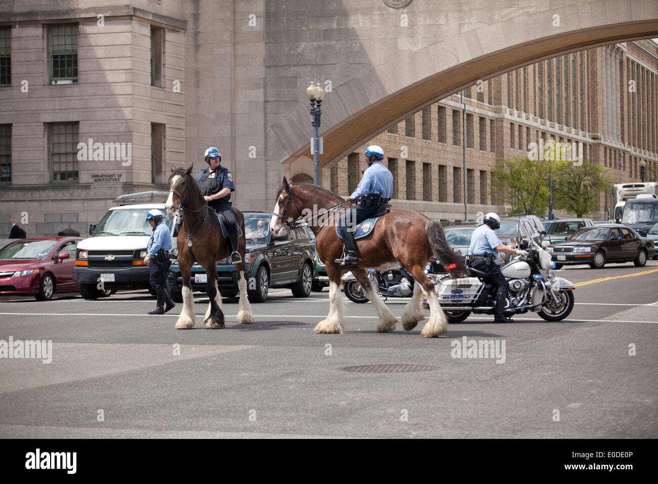 US Park Police Mounted Unit stopping street traffic - Washington, DC ...